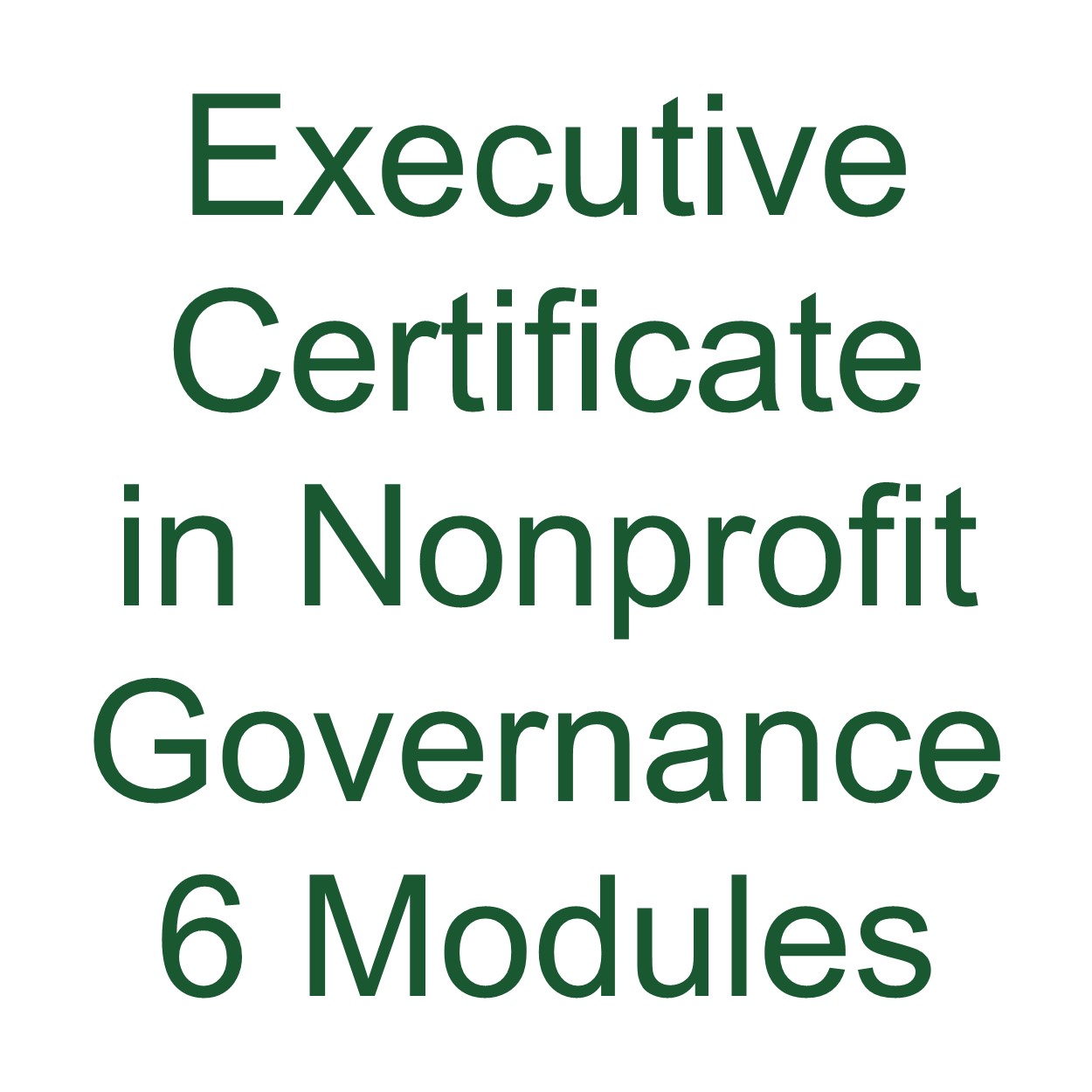Executive Certificate in Nonprofit Governance Program - 6 Modules