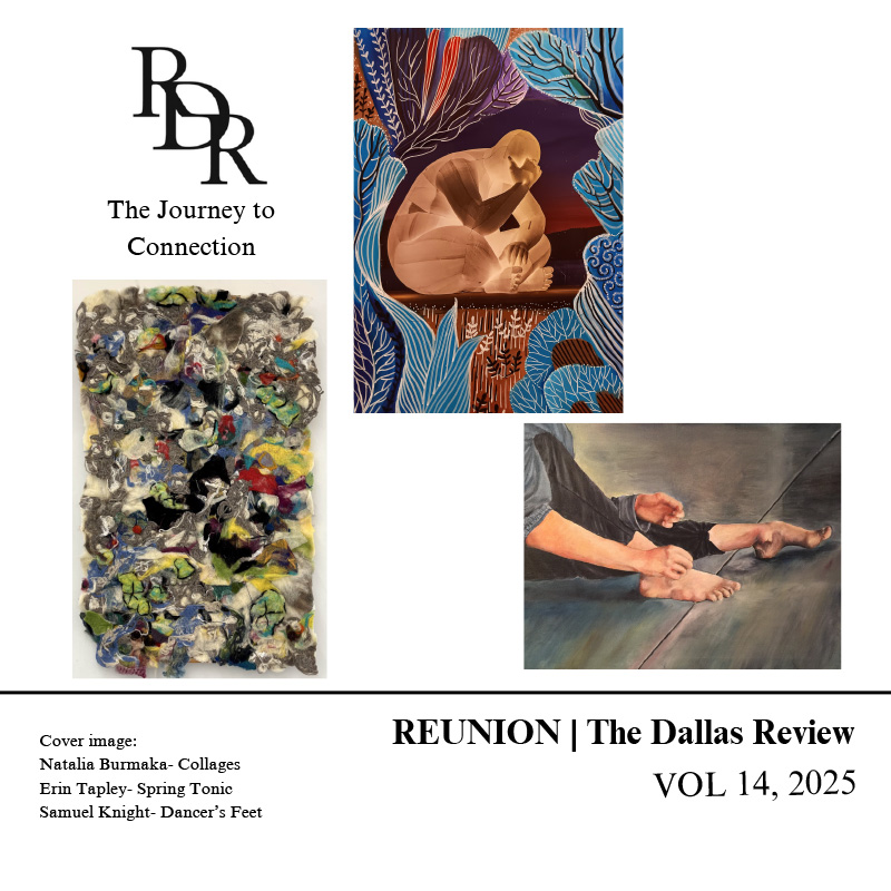 Reunion: The Dallas Review Volume 14